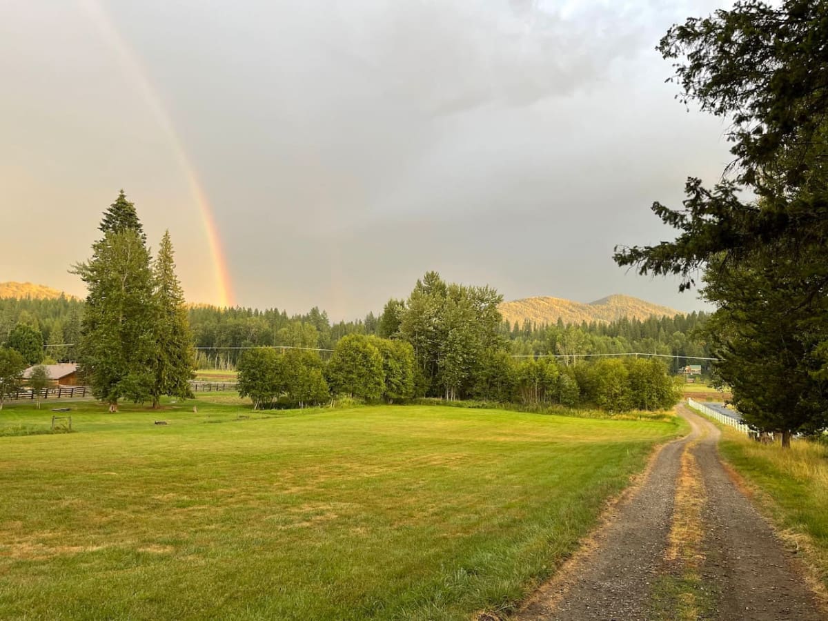 Home - The Woods In Sagle